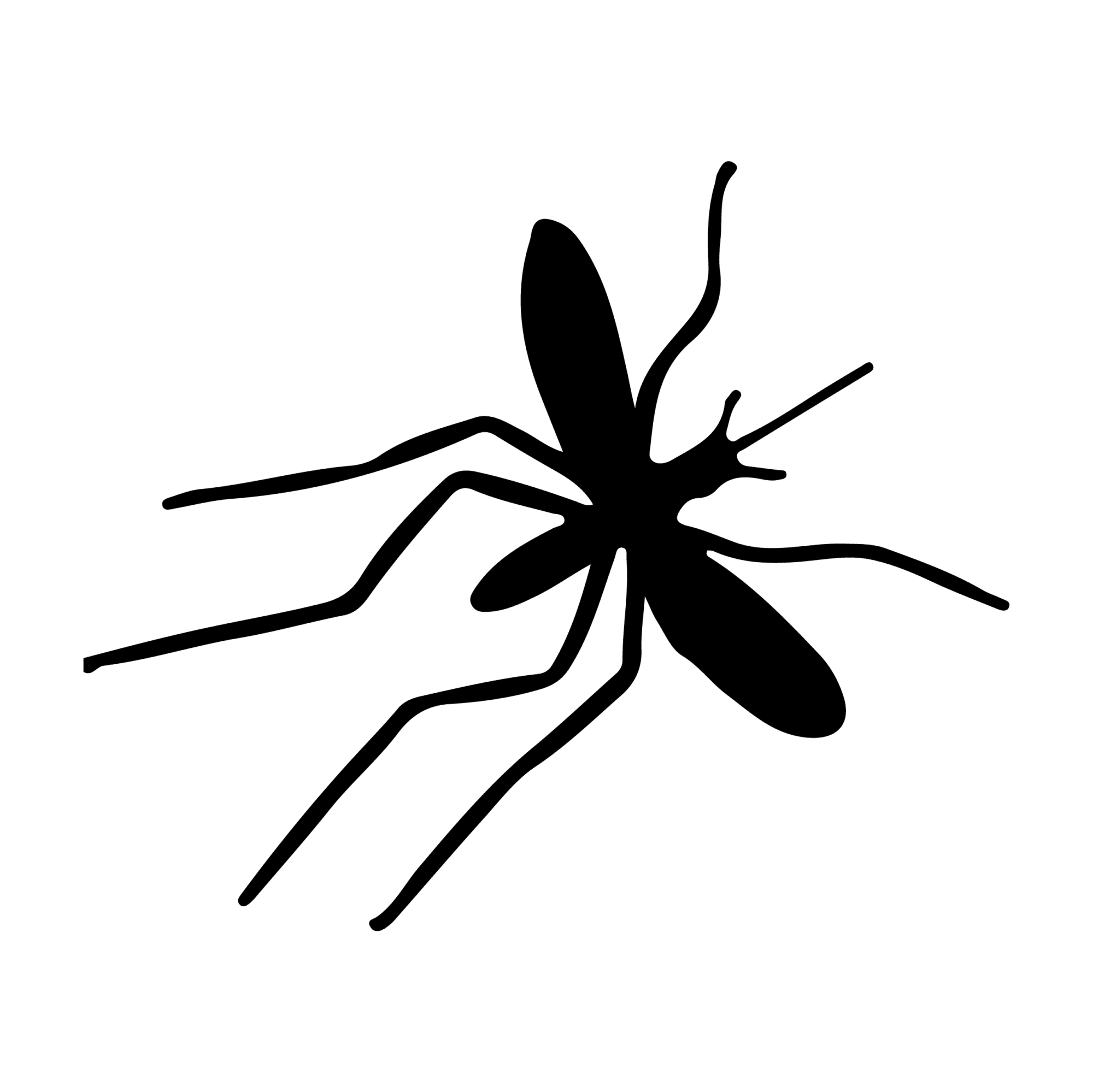 About Sandflies and Mozzies in New Zealand